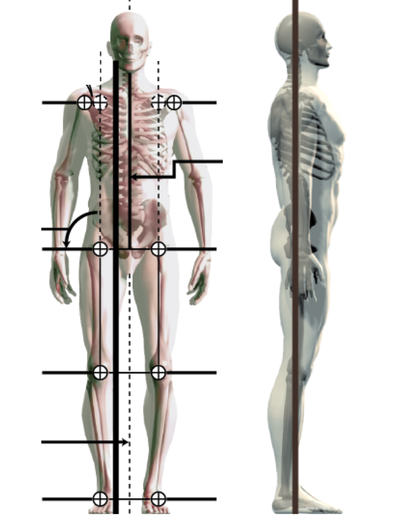 Postural Therapy - Healthworld